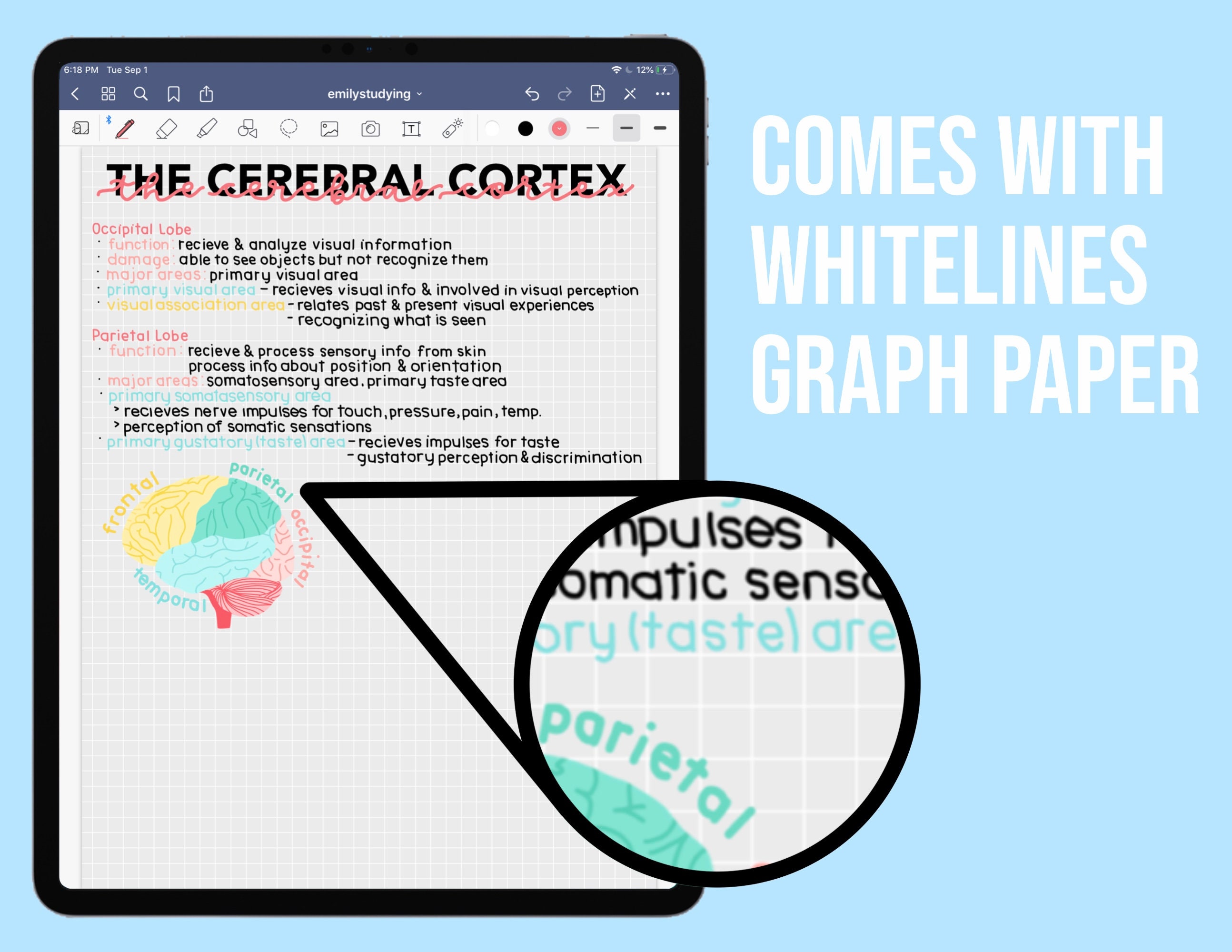 25 Colorful Graph Paper Templates Digital Writing | Etsy