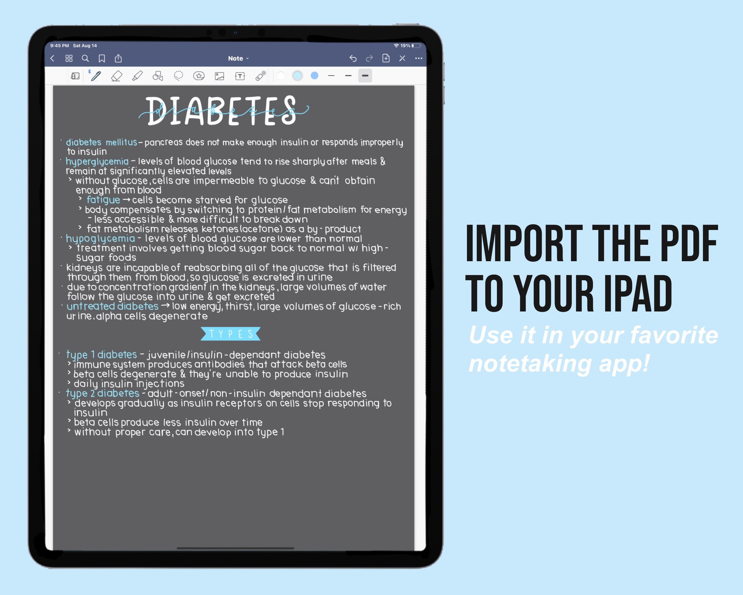 Blank Plain Digital Paper Template Ipad Notetaking Digital - Etsy