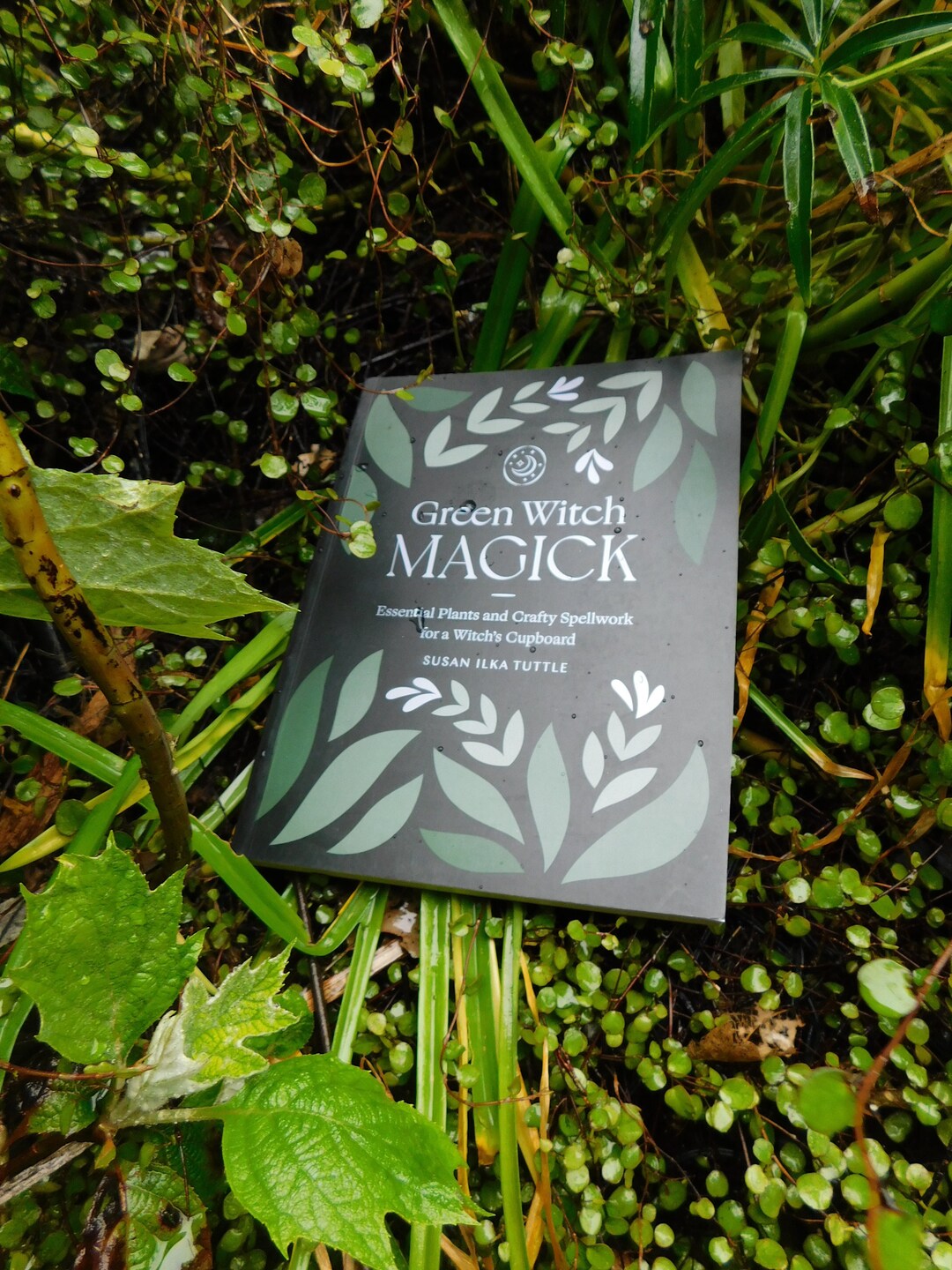 Green Witch Magick Green Witch Magick: Essential Plants and Crafty ...