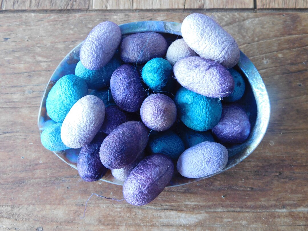 Mulberry Silk Cocoons Hand Dyed Color Way Bucks Fizz 25 - Etsy