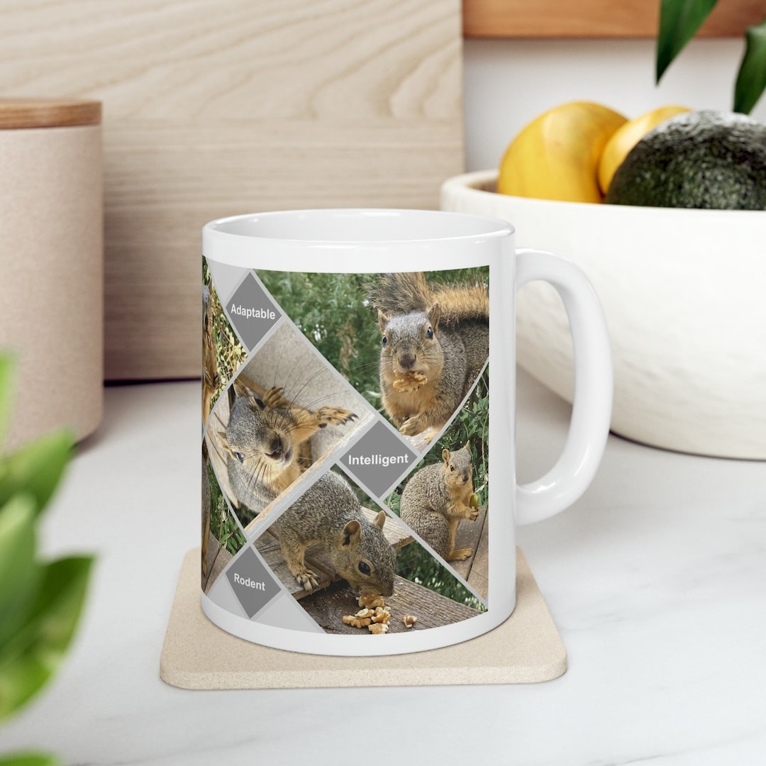 9 Squirrel 11oz Mug Squirrel Mug, Animal Mug, Pet Mug, Squirrel Gift ...