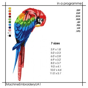 Parrot Machine Embroidery Design - Parrot Embroidery Files - 7 Sizes ...