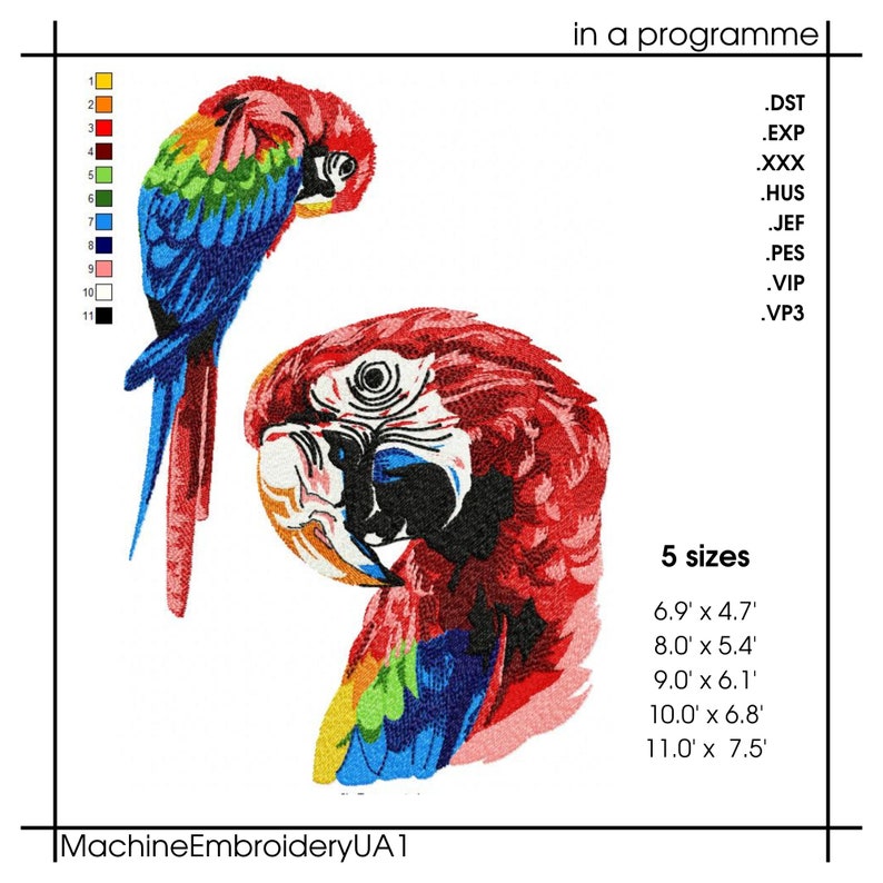 Parrot Machine Embroidery Design Parrot Embroidery Files 7 - Etsy