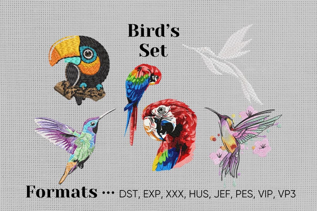 Set of 6 Bird Machine Embroidery Patterns, Toucan, Parrot, Macaw ...