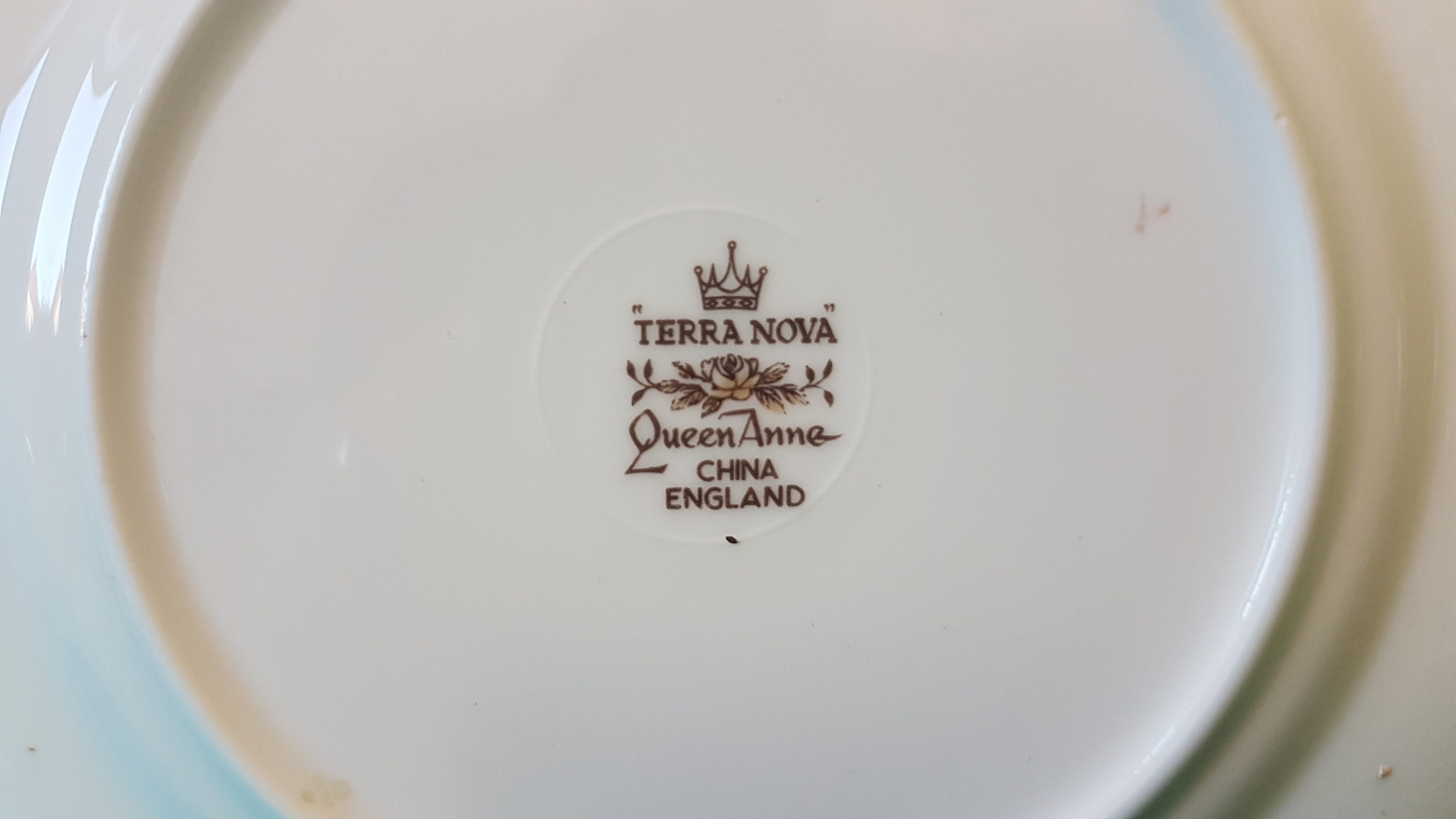 Queen Anne Tea Set Selection. Tableware. Pattern Name: Terra | Etsy