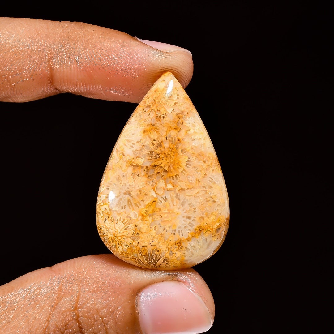 Fossil Coral Gemstone 100% Natural Fossil Coral Pear Shape - Etsy