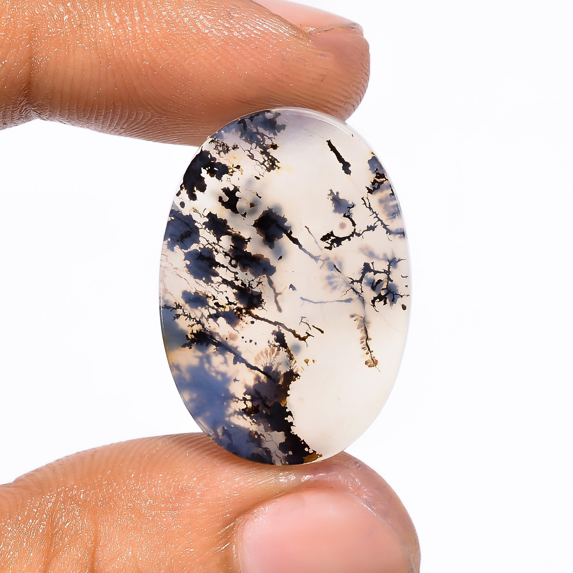 Dendrite