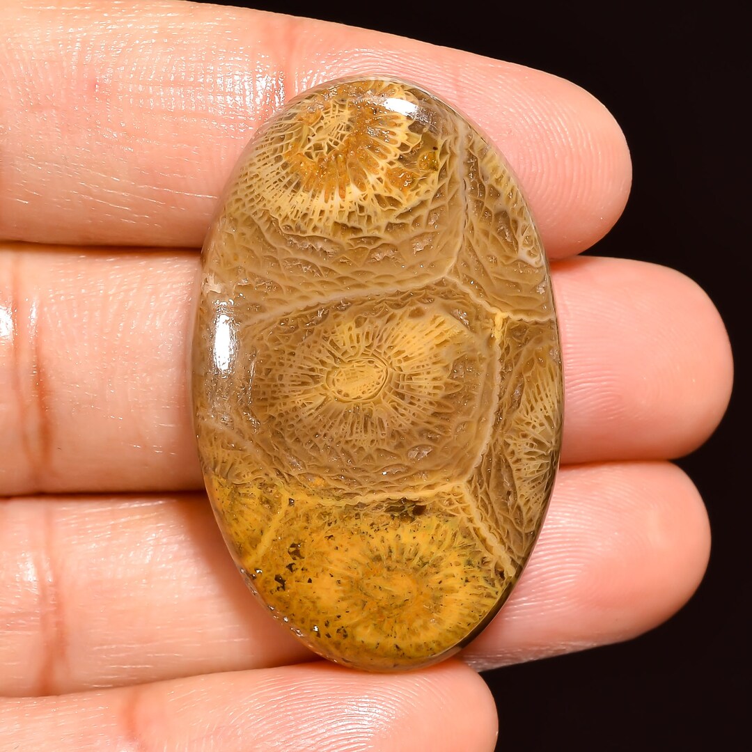 Fossil Coral Gemstone 100% Natural Fossil Coral Cabochon Oval - Etsy