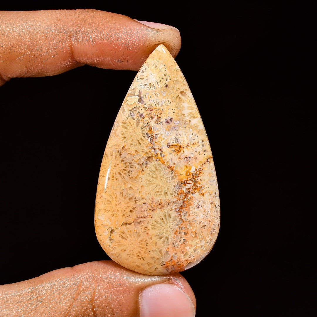 Fossil Coral Gemstone, 100% Natural Fossil Coral Pear Shape Cabochon ...