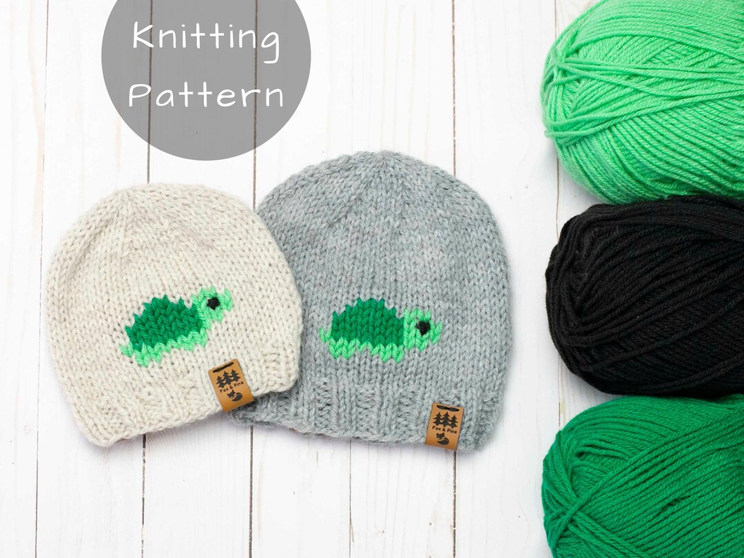 Turtle Hat Knitting Pattern Knit Winter Beanie Toque Ocean Beach Green Sea Knitted Medium ...