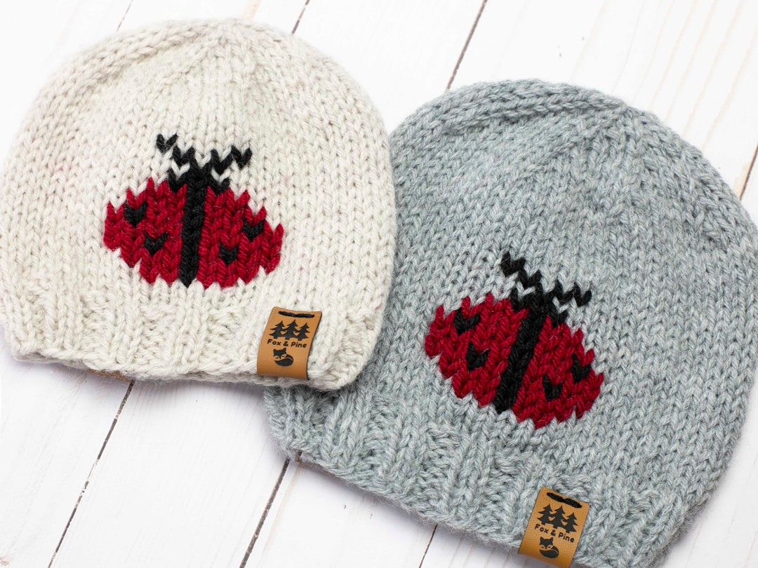 Ladybug Hat Knitting Pattern Knit Winter Beanie Toque Insect Bug Summer ...