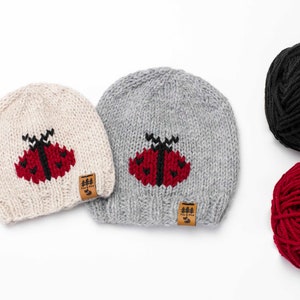 Ladybug Hat Knitting Pattern Knit Winter Beanie Toque Insect Bug Summer ...