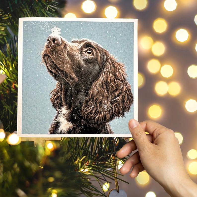 Personalised Chocolate Cocker Spaniel Christmas Card: Dog Lover ...