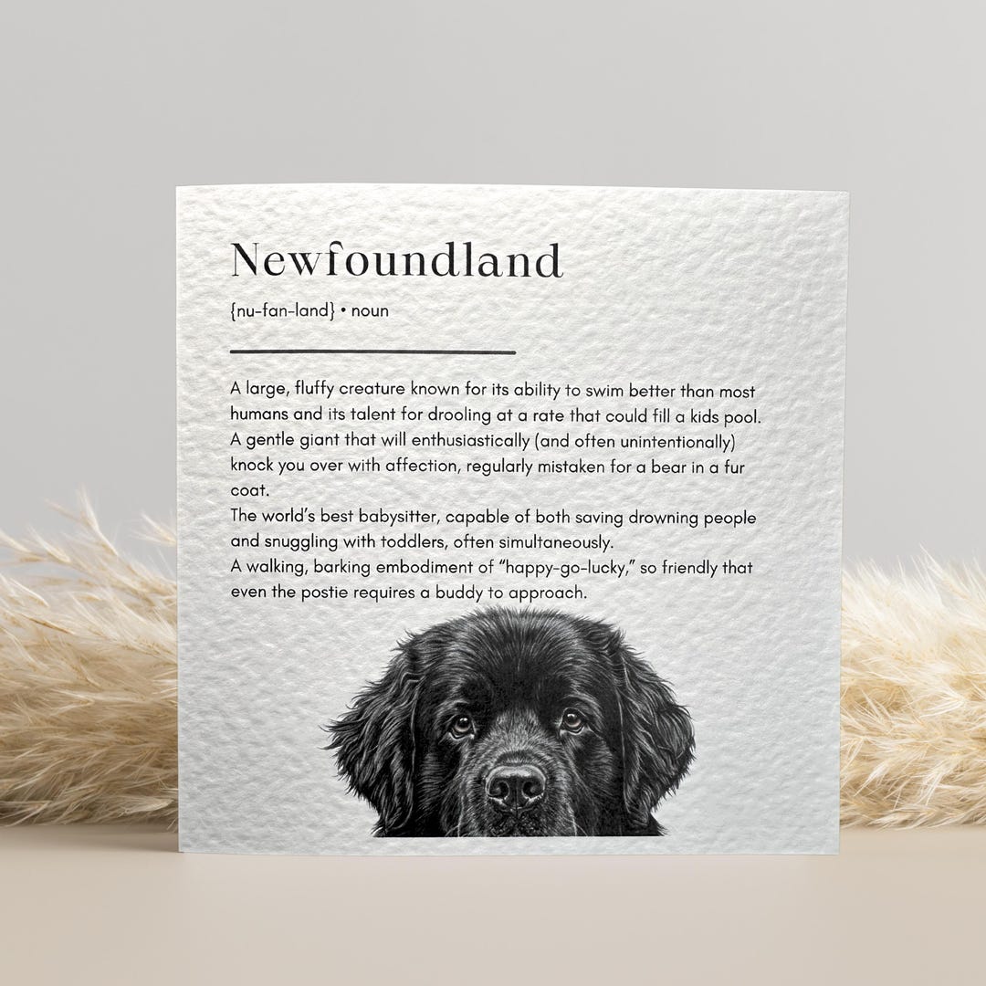 Black Newfoundland Birthday Card, Newfoundland Card, Newfie Birthday ...