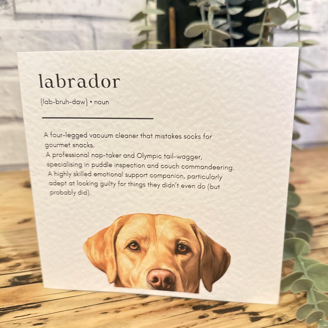 Yellow Labrador Birthday Card: Funny Dog Definition, Personalized ...