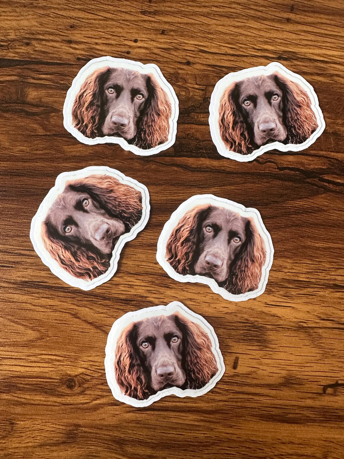 Custom Pet Head Stickers Personalised Vinyl Stickers Weatherproof and ...