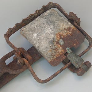 Vintage Trapper Traps Short Chain Movie Prop Wrought Iron Hunting House ...