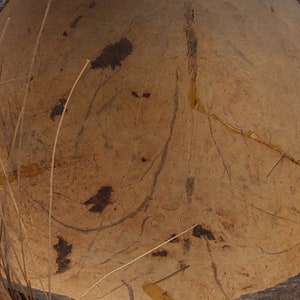 Carved Coconut Shell Creepy Face Art From Oceania Polynesia C1960 - Etsy