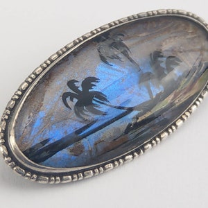 Sterling Silver Morpho Butterfly Wing Brooch Tropical Scene - Etsy