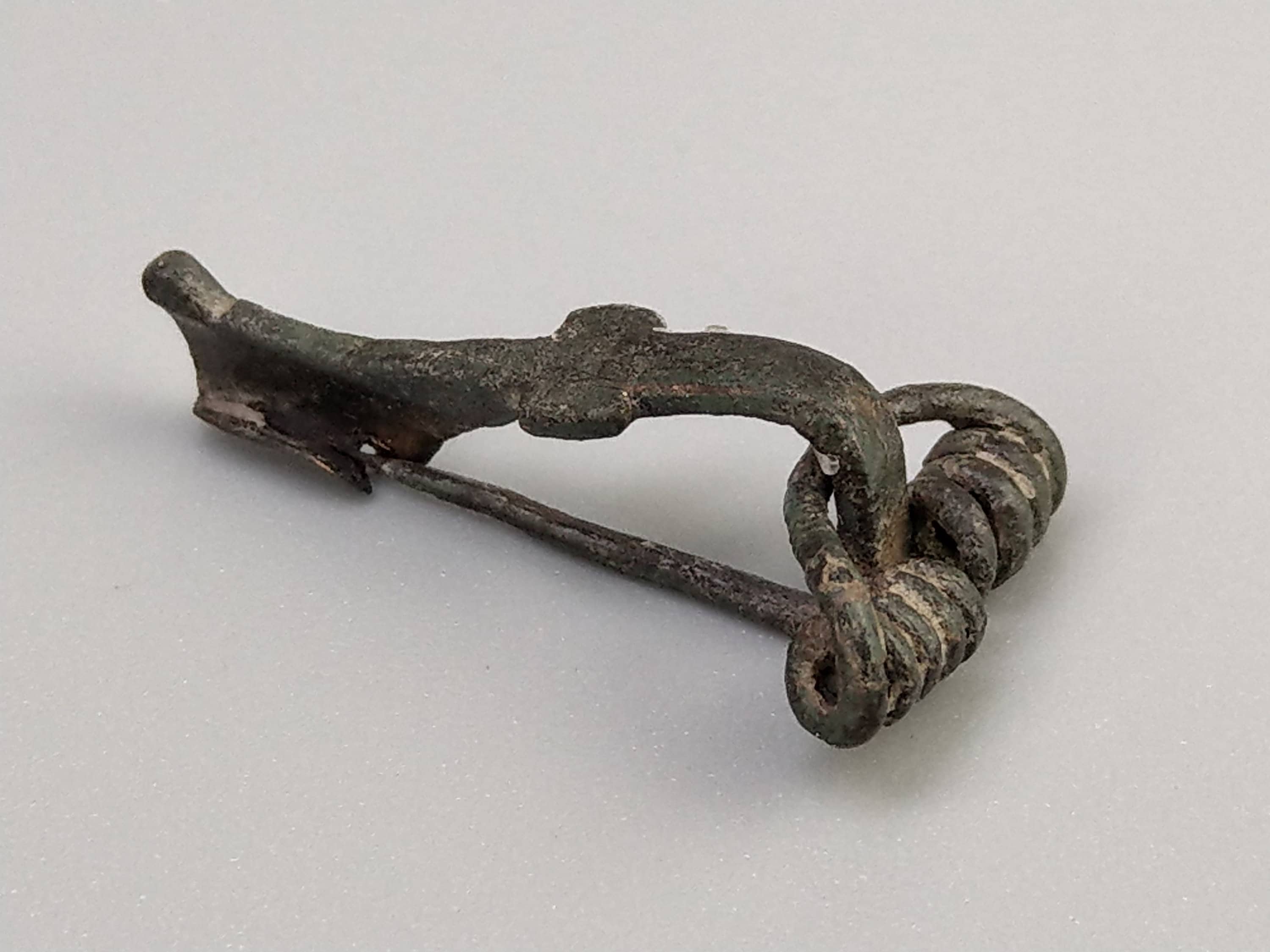 Roman Fibula