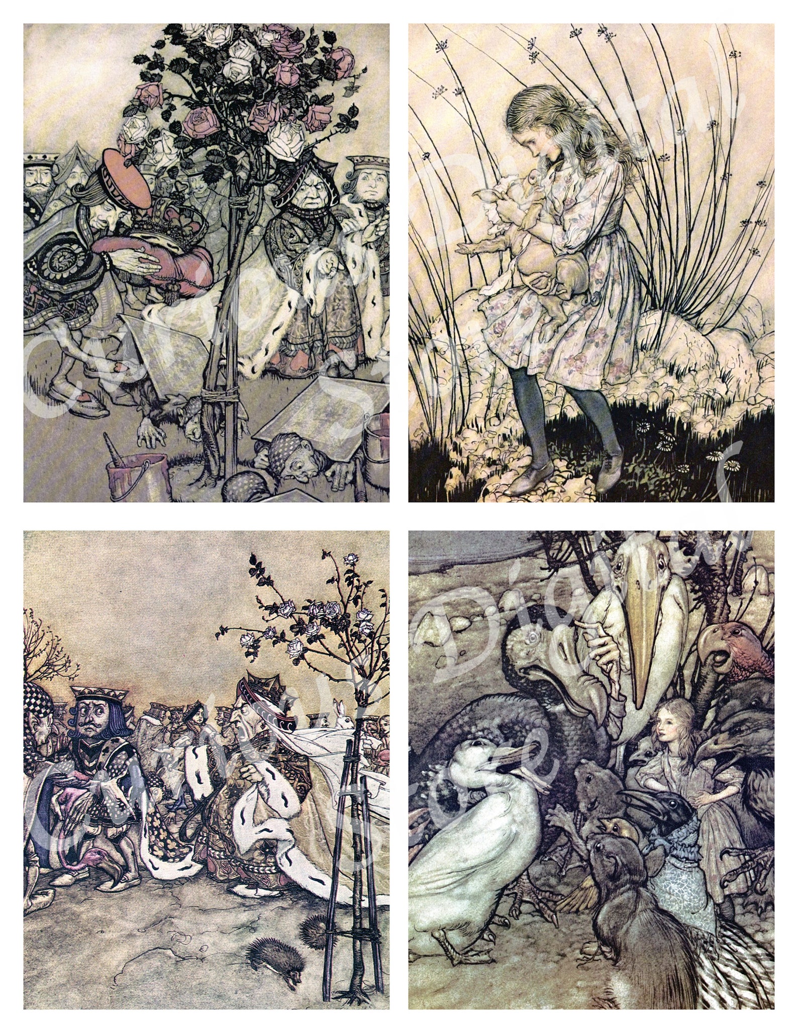 Alice in Wonderland Arthur Rackham Illustrations Digital - Etsy