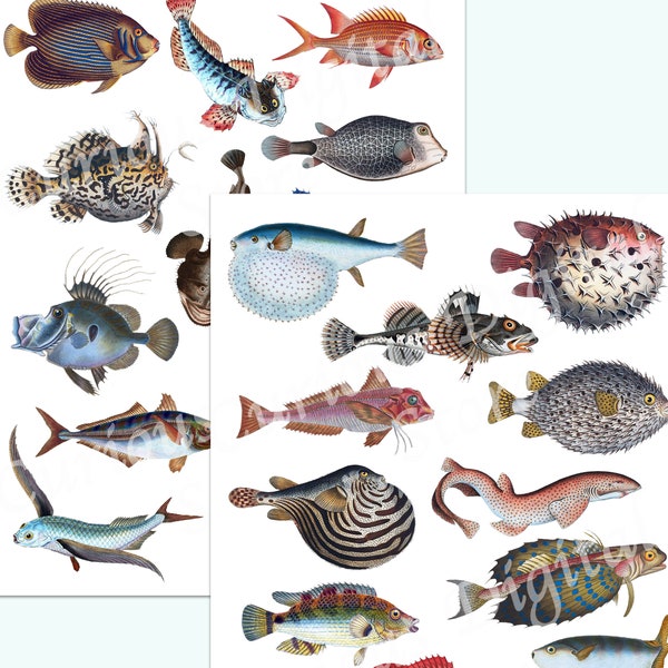 Nature Collage - Etsy