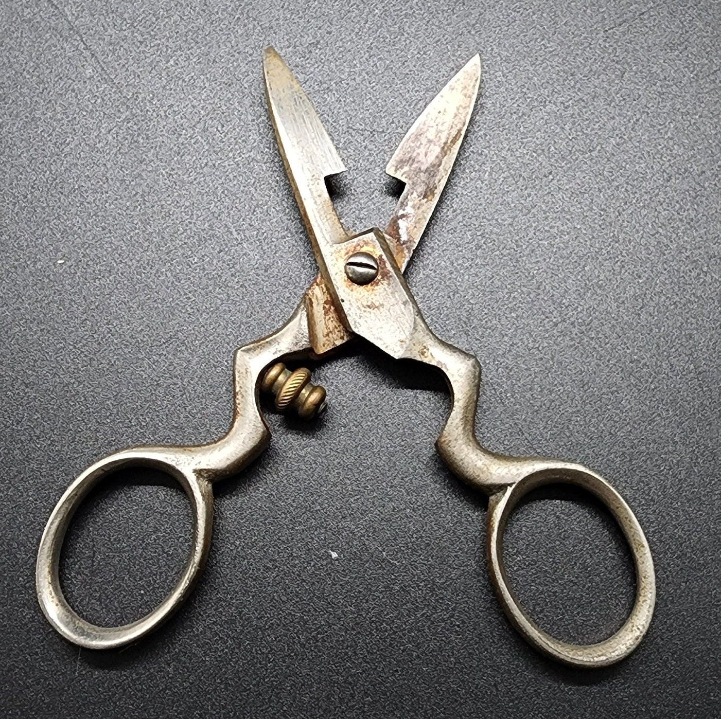 Button Hole Scissors, 19th Century - Etsy