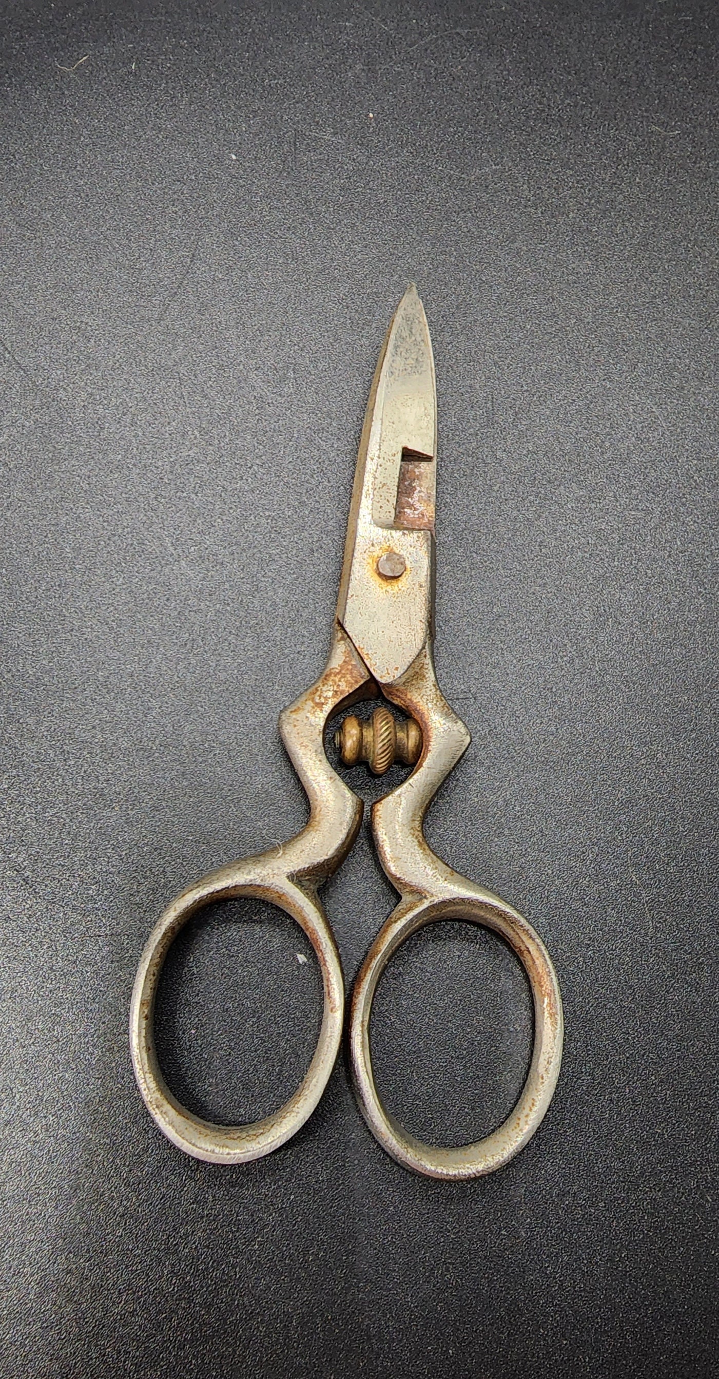 Button Hole Scissors, 19th Century - Etsy