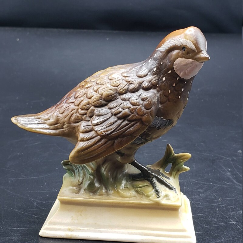 Bob White Quail - Etsy