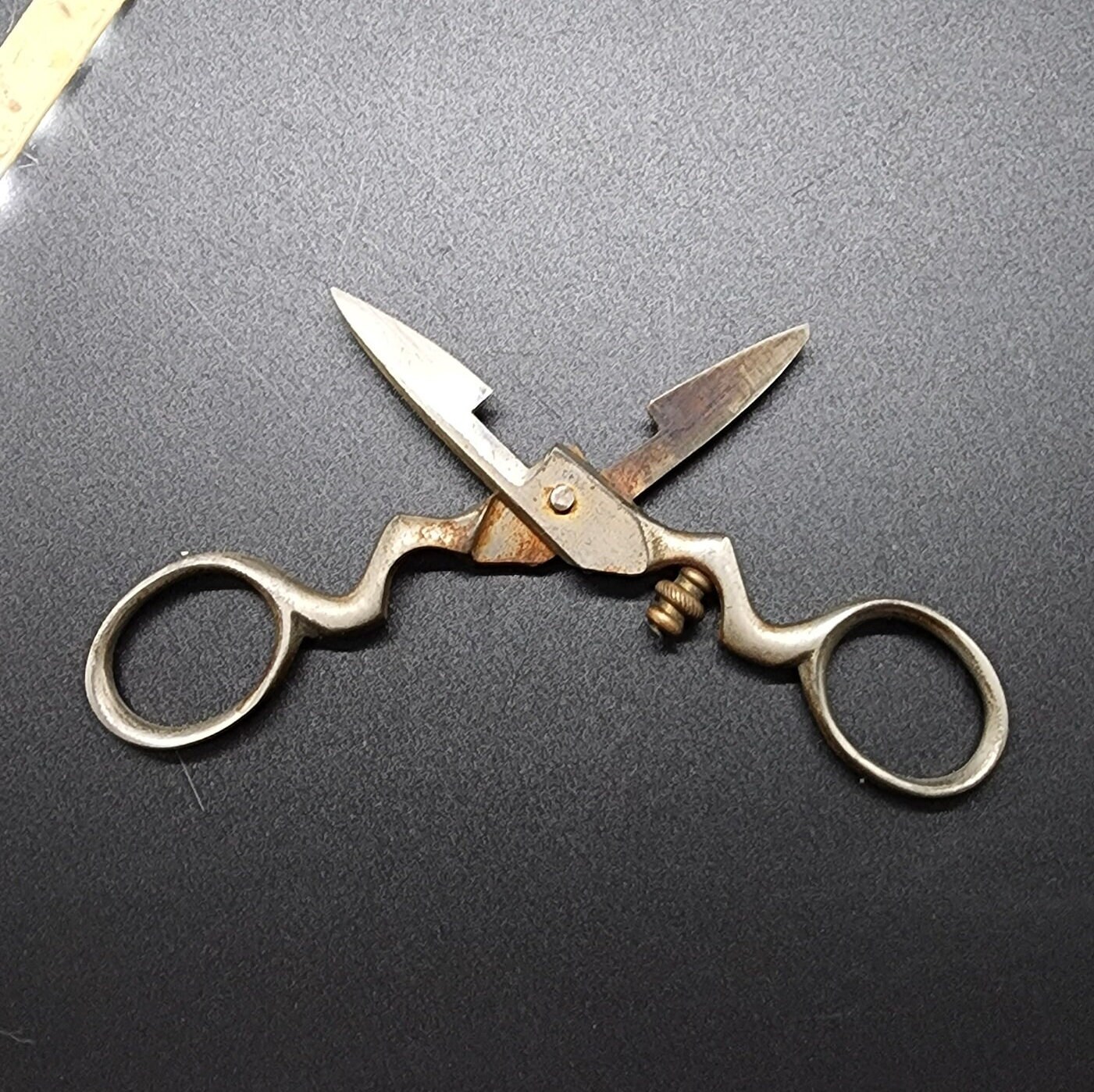 Button Hole Scissors, 19th Century - Etsy