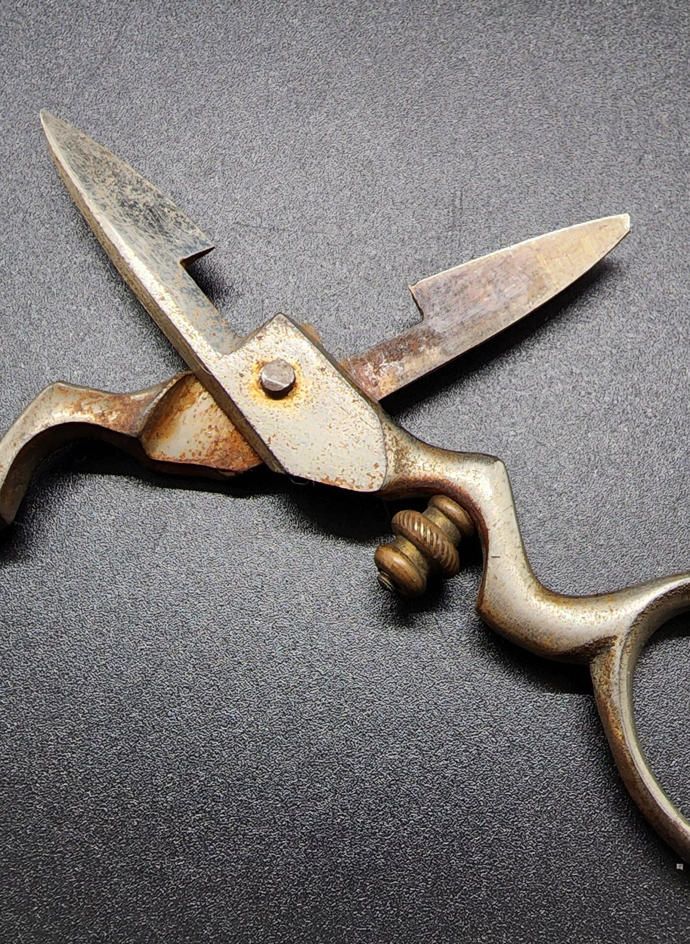 Button Hole Scissors, 19th Century - Etsy