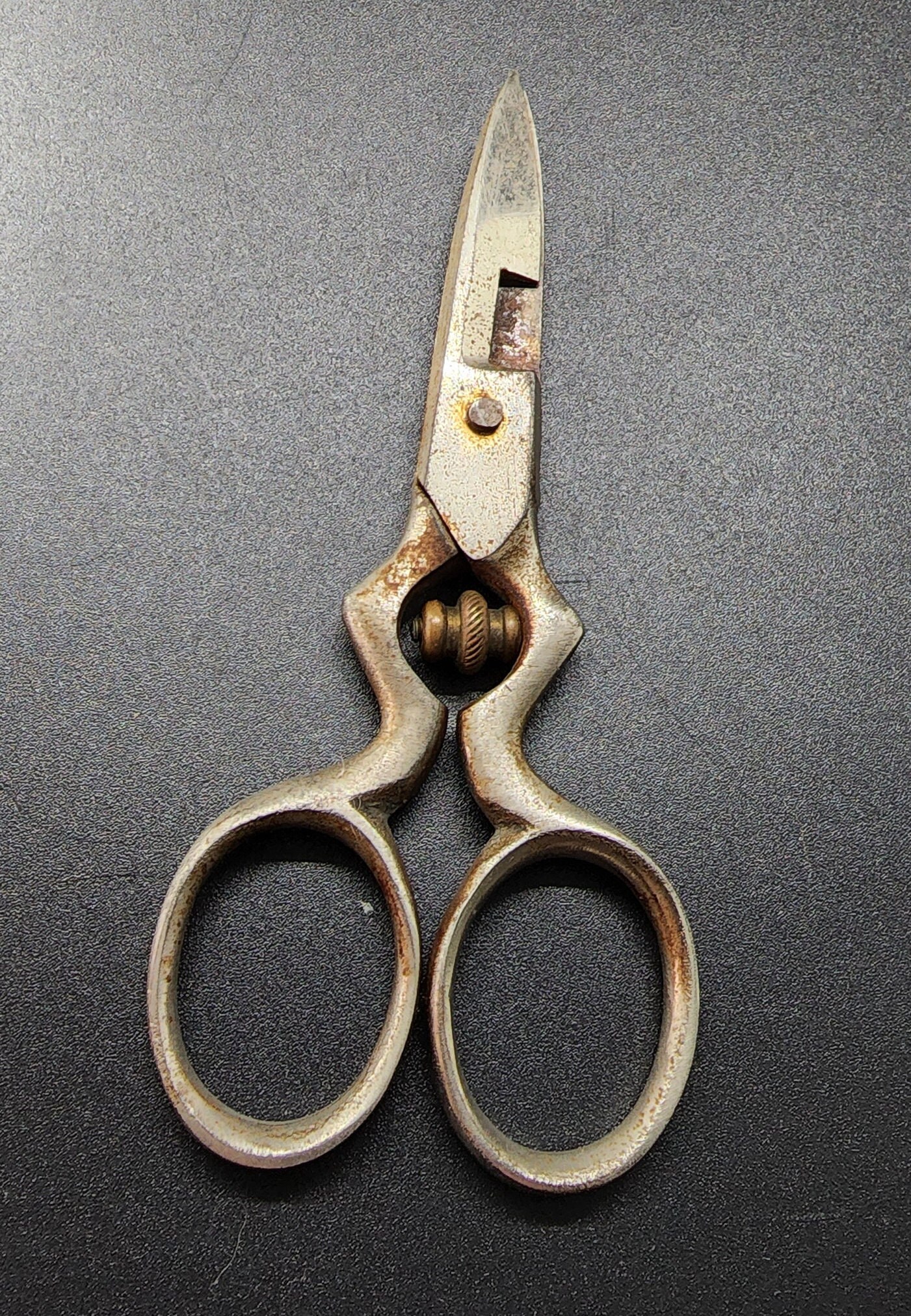 Button Hole Scissors, 19th Century - Etsy