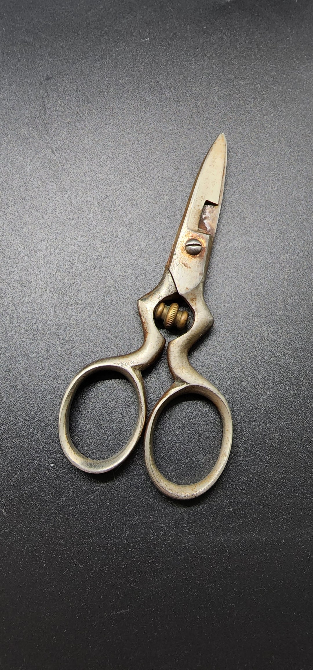 Button Hole Scissors, 19th Century - Etsy