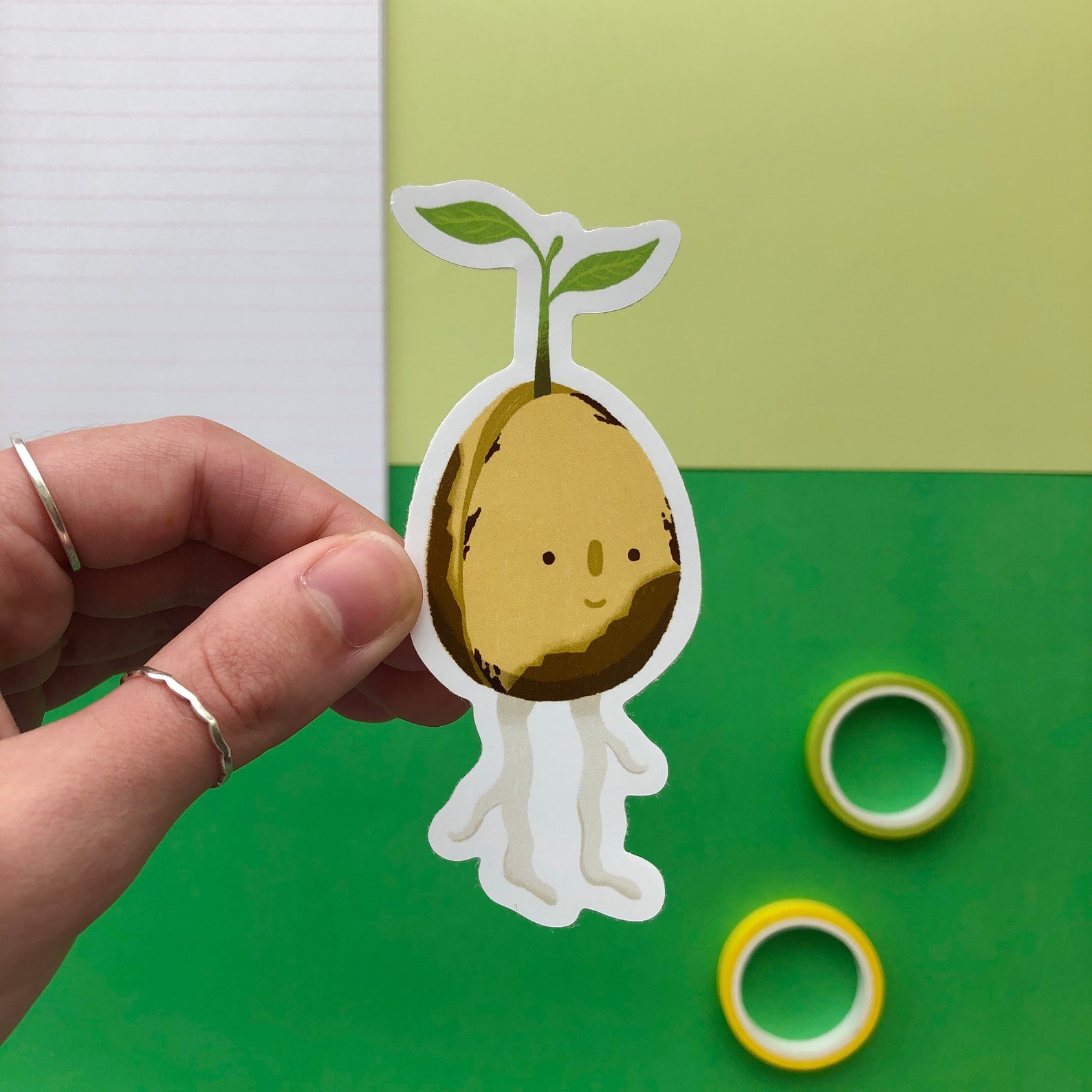 Avocado Seed Vinyl Sticker - Etsy