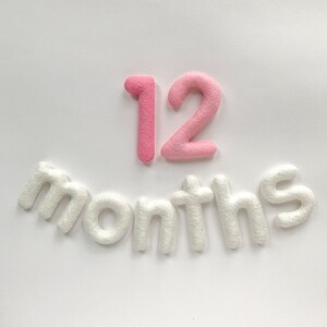 Felt Milestone Numbers, Custom Colors, Baby Monthly Milestone - Etsy