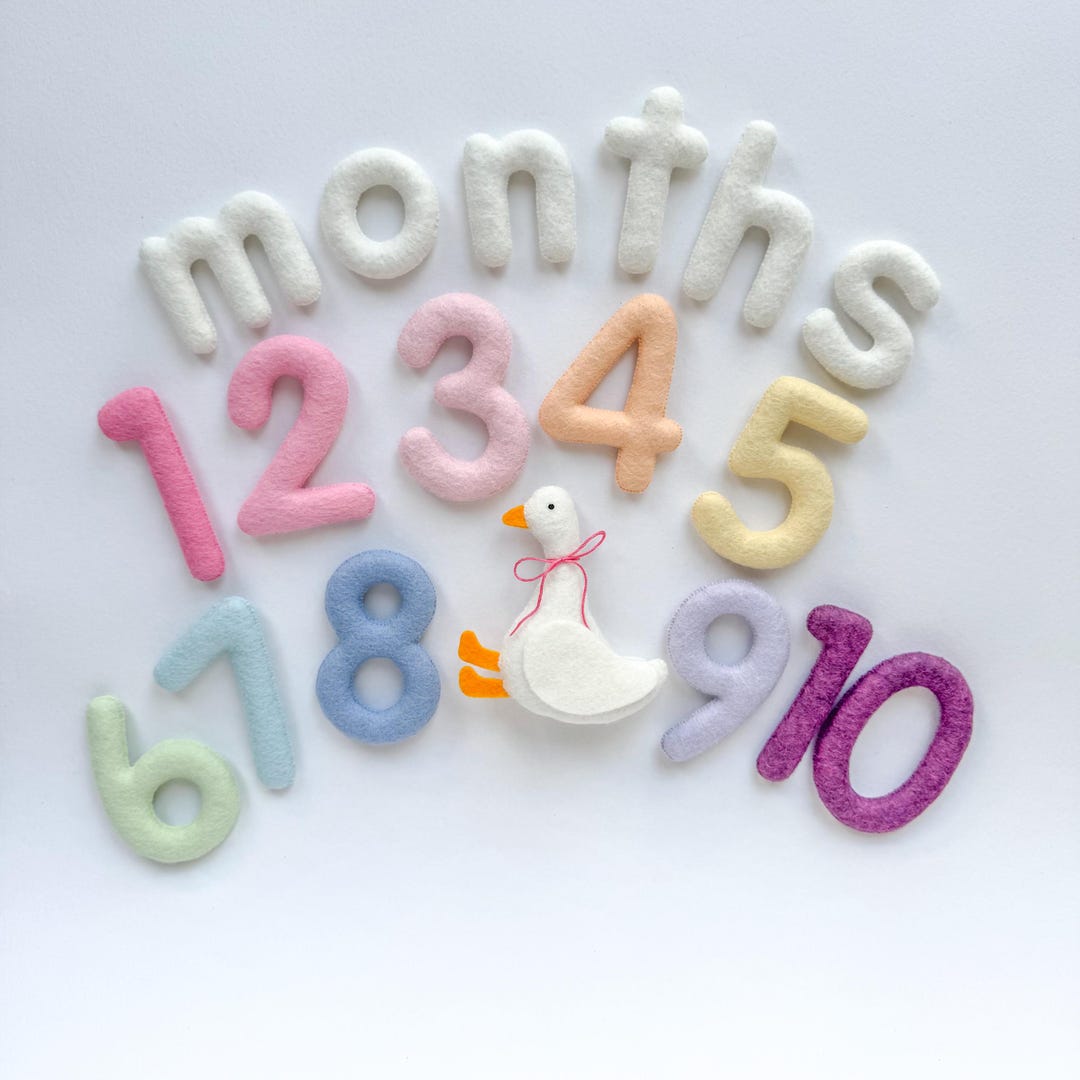 Baby Monthly Milestone Numbers With Silly Goose - Etsy