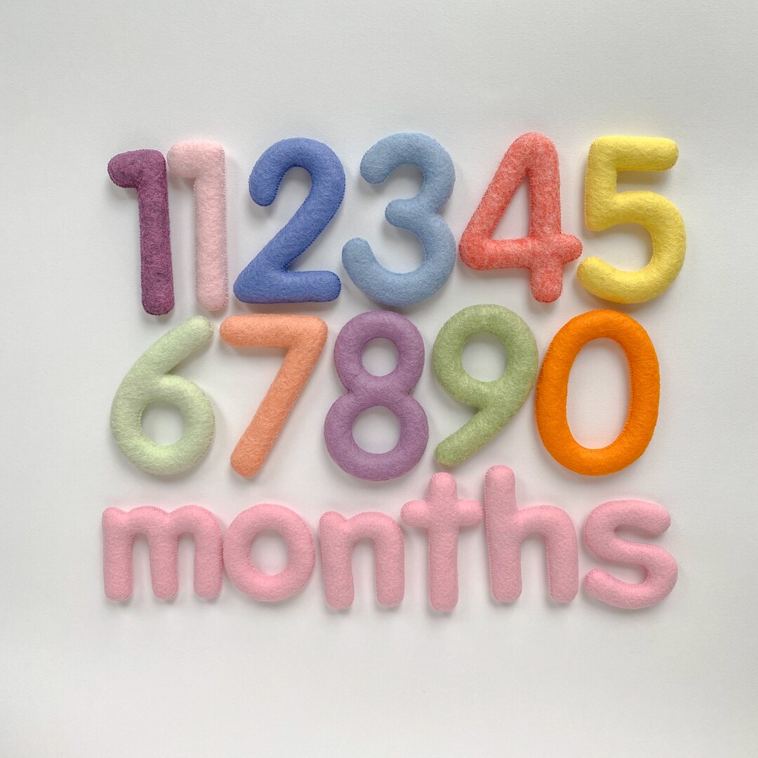Felt Baby Monthly Milestone Numbers, Custom Colors - Etsy