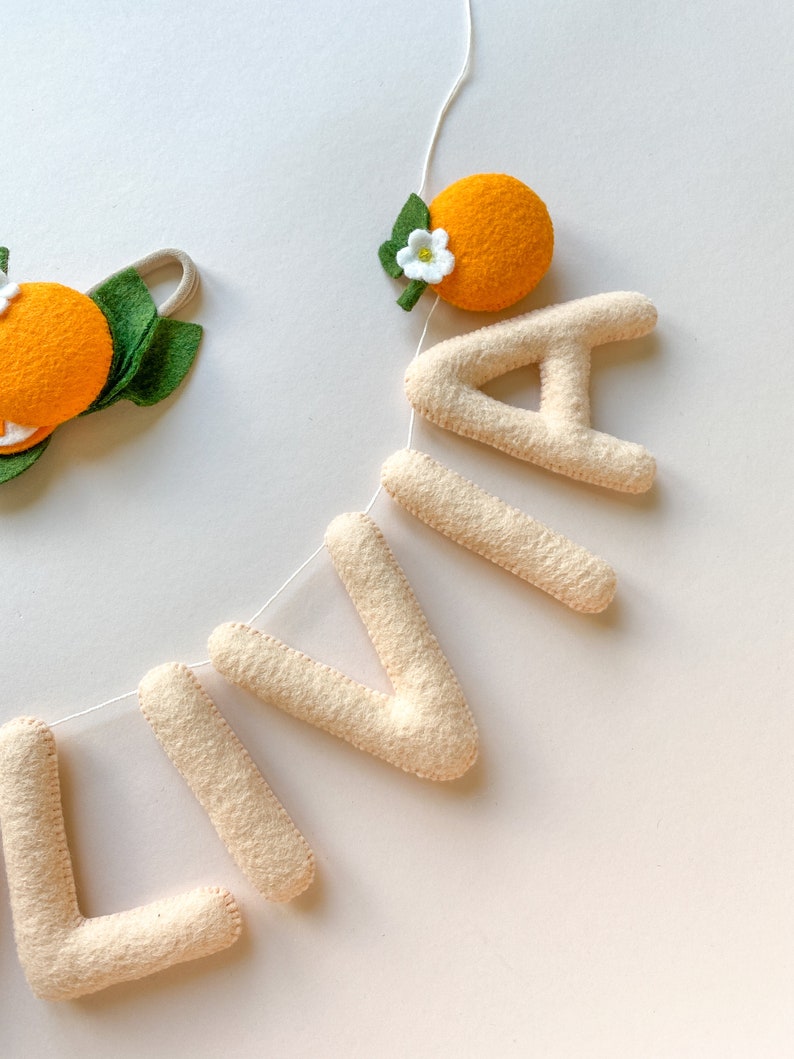 Personalized Felt Orange Clementine Name Banner Garland - Etsy