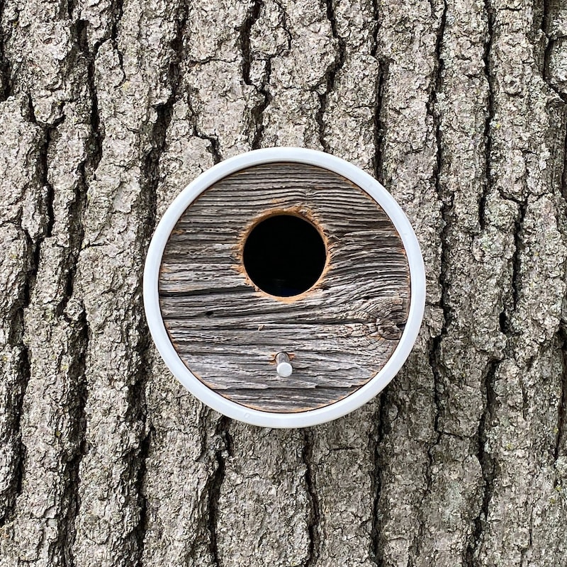 Handmade Bird House - Etsy