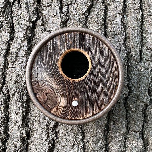 Modern Birdhouse - Etsy