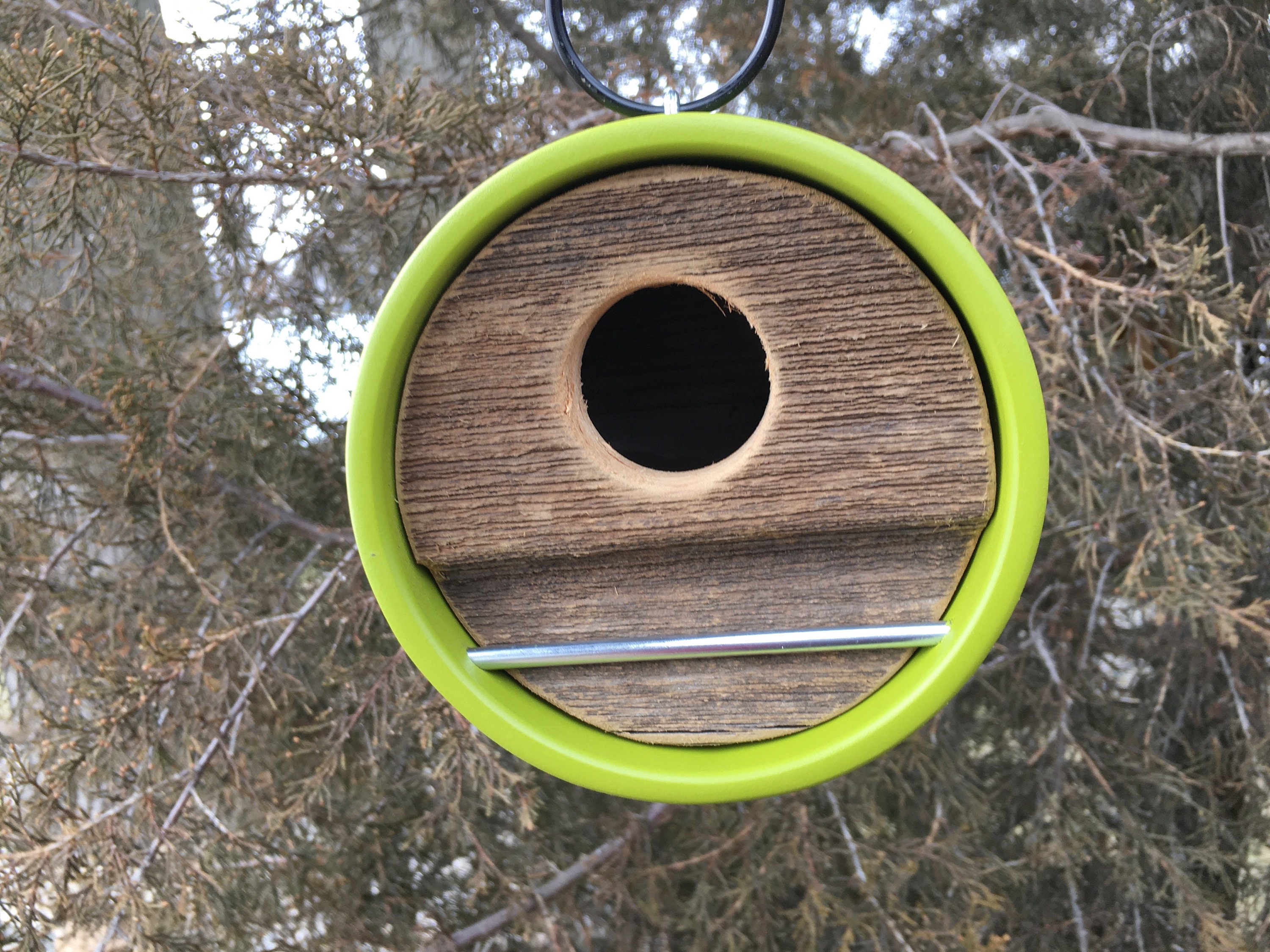 Birdhouse Modern Birdhouse Green Avocado Circular Tube w/ | Etsy