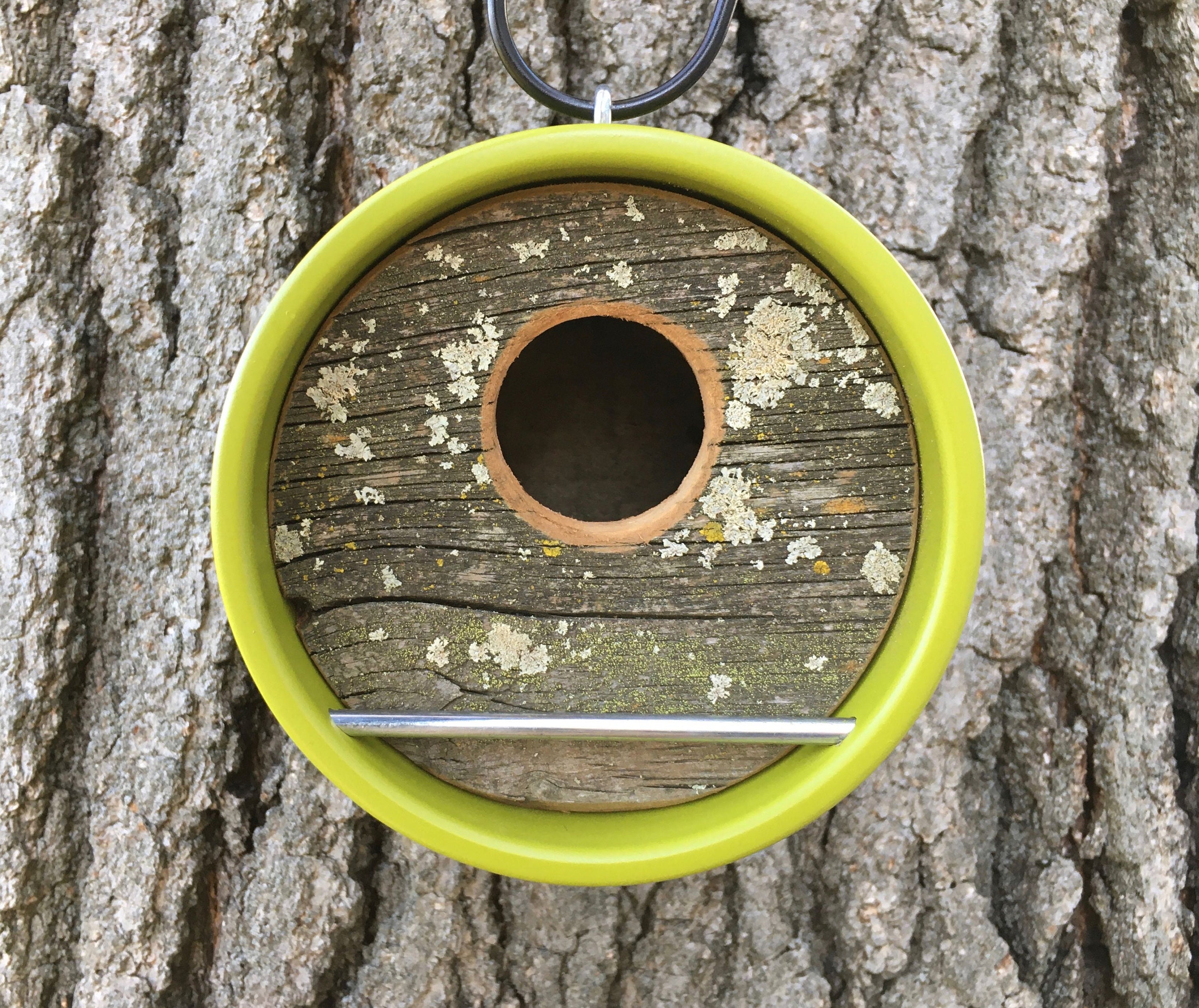 Birdhouse Modern Birdhouse Green Avocado Circular Tube W/ | Etsy