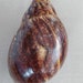 Land Snail Shells, African Giant Empty Shells, African Giant Land Snail ...