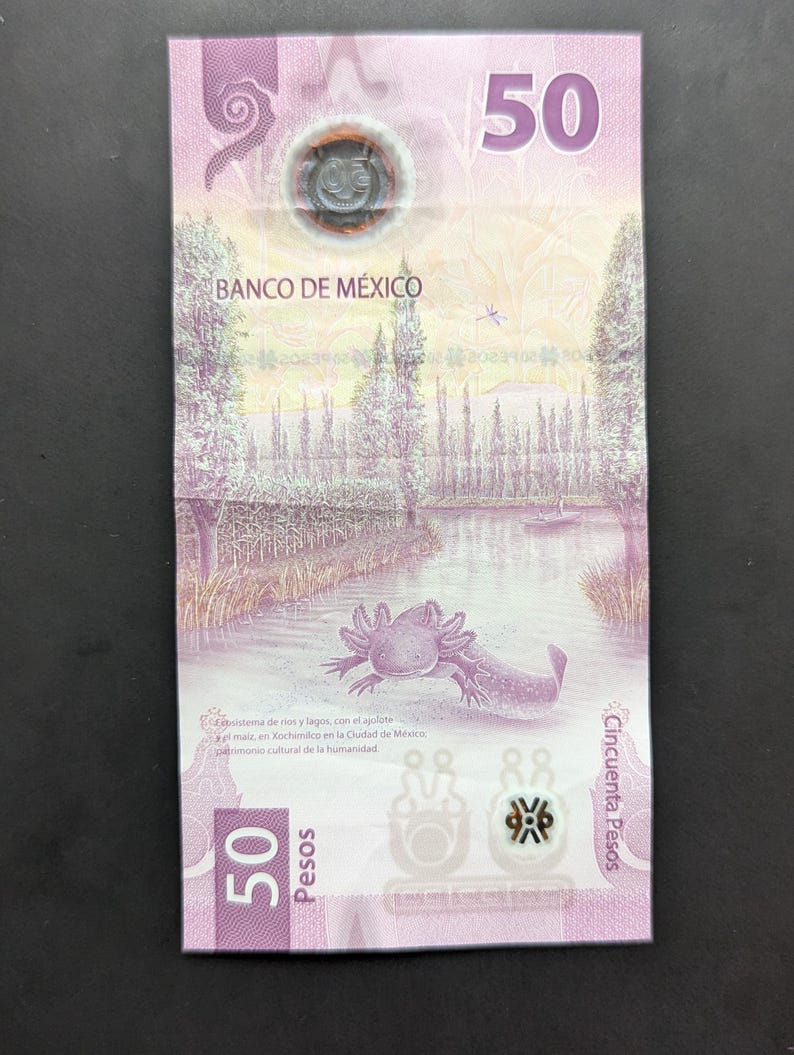 Axolotl Purple Peso - Etsy