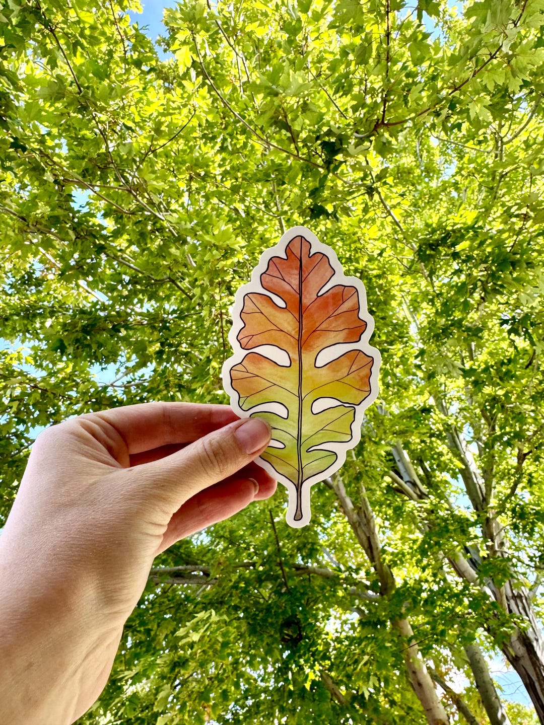 Vinyl Oak Leaf Sticker, Based on Original Art - Etsy