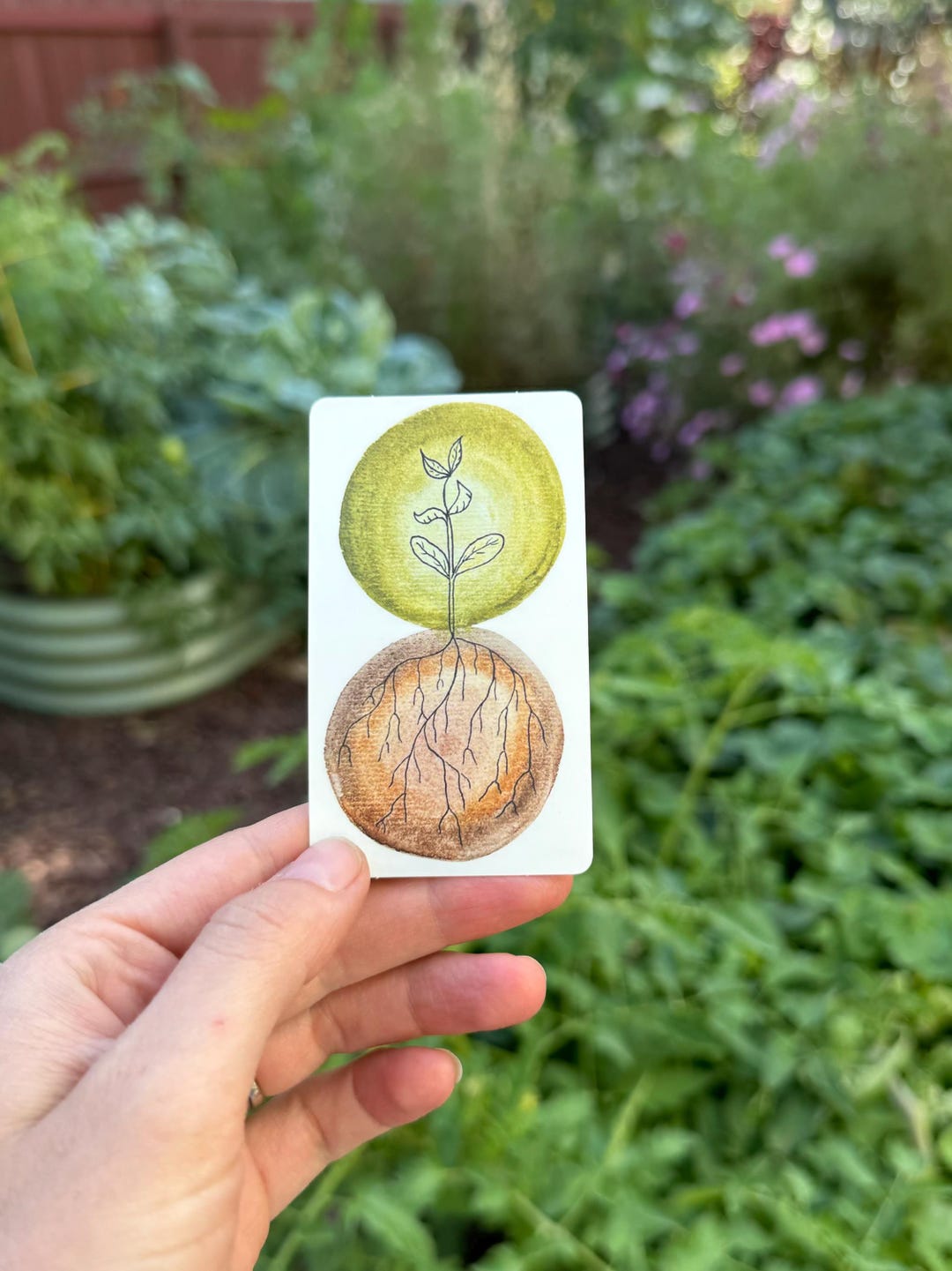 Vinyl Seedling Sticker, Based on Original Painting - Etsy