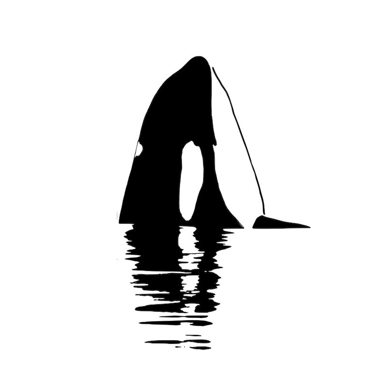 Schwertwal Whale, Wal Linear, Line Art, Vektor SVG, PNG, PDF, Minimal ...