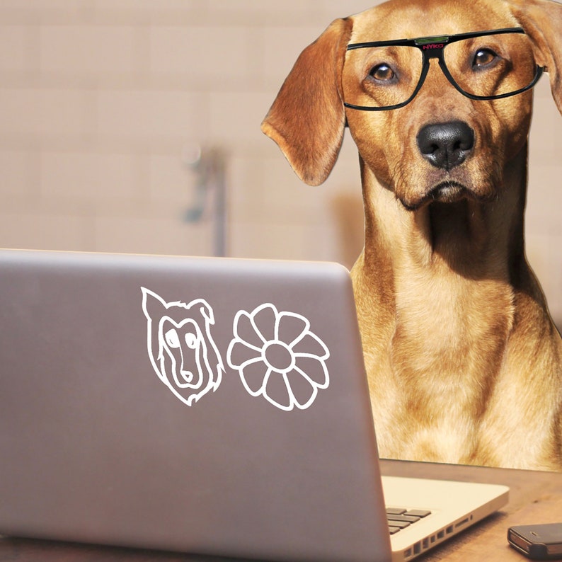 Collie Flower Rebus Vinyl Decal - Etsy