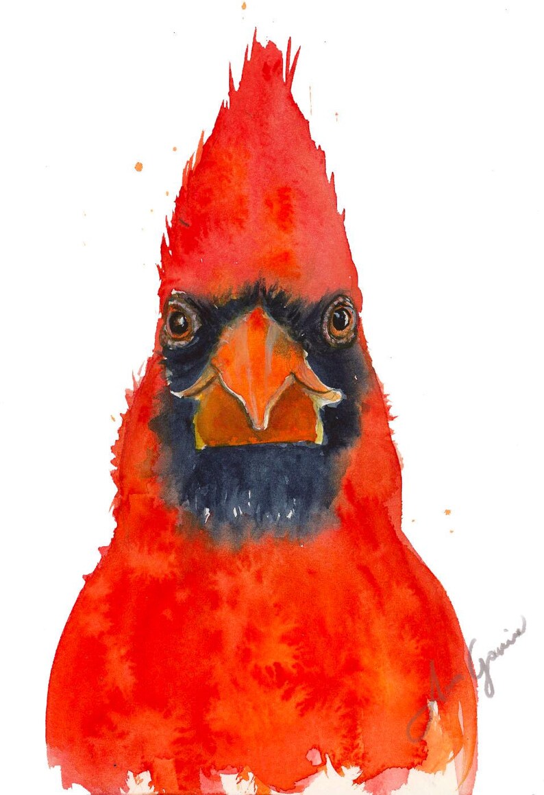 Cardinal Art Print, Cardinal Watercolor, Cardinal Wall Art, Cardinal ...