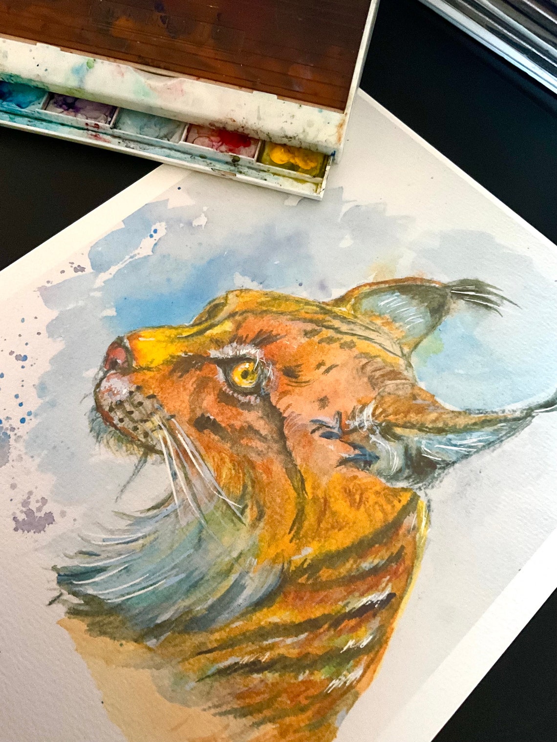 Art Print Bobcat, Watercolor Bobcat, Wall Art Decor Bobcat, Artwork ...